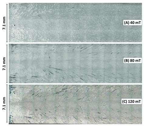 Macrostructures Of Solidified Samples During Step Four Of The Download Scientific Diagram