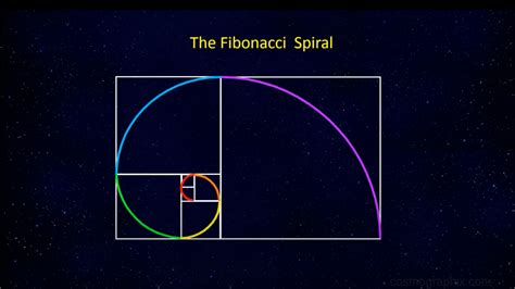 Fibonacci Bunnies