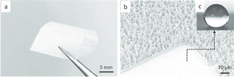 Superhydrophobic Pdms Stamp With Pd Pads A A Soft Patterned Pdms Download Scientific Diagram