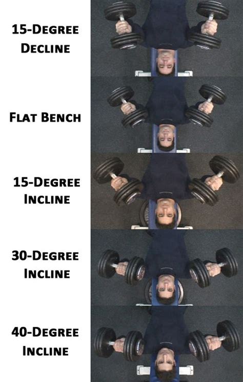 Treasure Chest Physique Transformations