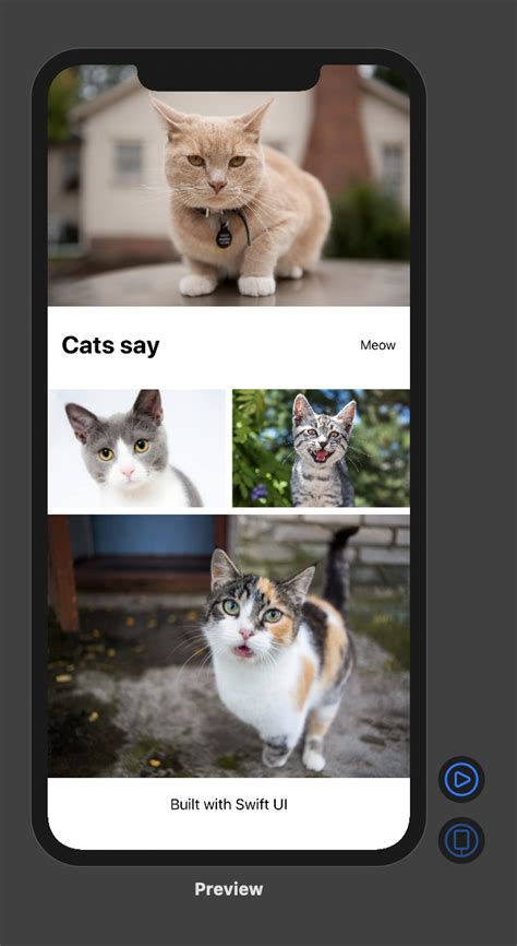 GitHub Indreklasn Swift Ui Demo