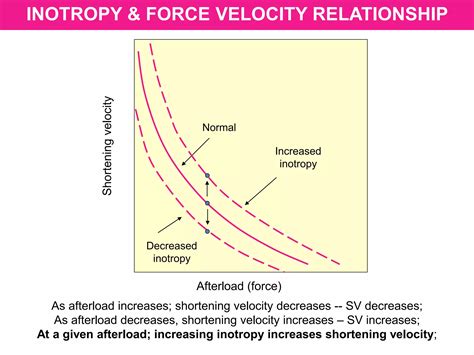 Ventricular Pv Loop 2019 Pptx