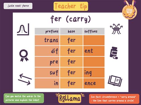 Orderama Morphology Fer