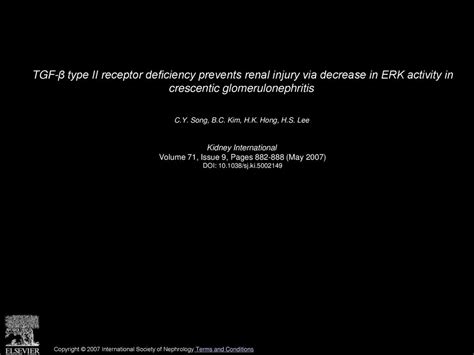 TGF β type II receptor deficiency prevents renal injury via decrease in
