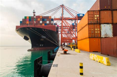 How Wide Is A Shipping Container Understanding The Dimensions For Your Project