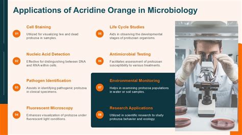 Acridine Orange Protozoa Ppt Template Acp