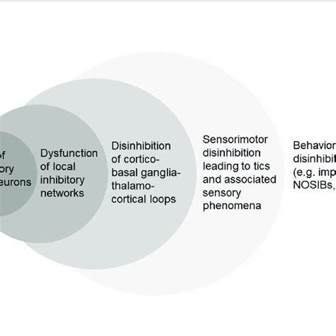 Simplified Hierarchic Representation Of Different Conceptual Levels Download Scientific
