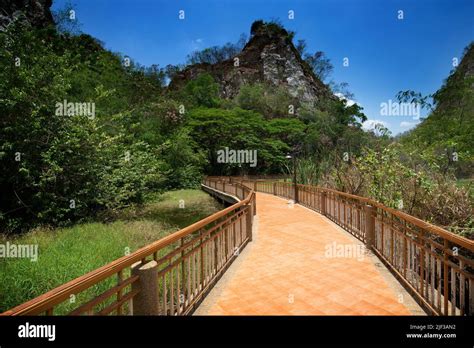 Curve Of Walkway In Natural Park Cuts Through Asia Tropical Forests For Tourists To Walk Through