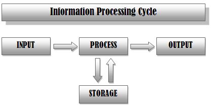 Computer Information Processing Cycle Diagram Processing Cyc