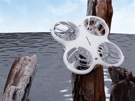 If Design Stem Bionic Aircraft