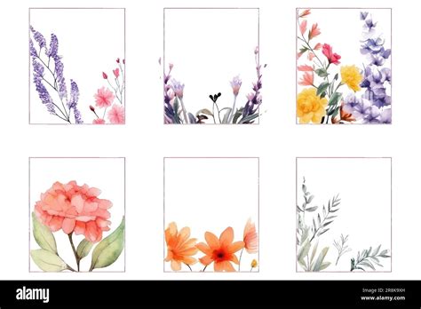 Ui Set Vector Illustration Of Floral Spring Boarder Frame With Empty Space Isolate On White