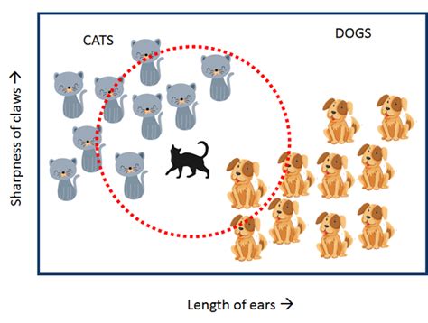 K Nearest Neighbors In Python From Scratch By Ojaswini Nimbalkar