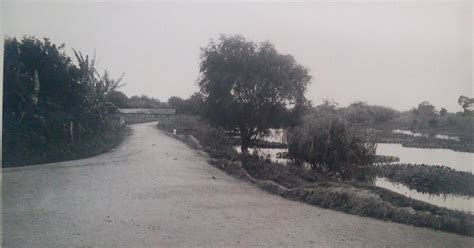 Bio Tavares Fotos Antigas Das Ruas De Tubar O