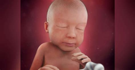 ကိုယ်ဝန် ၂၈ ပတ်