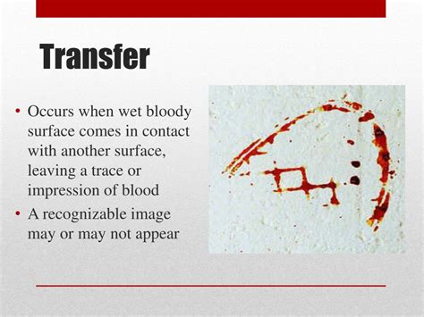 Ppt Blood Spatter Analysis Powerpoint Presentation Free Download