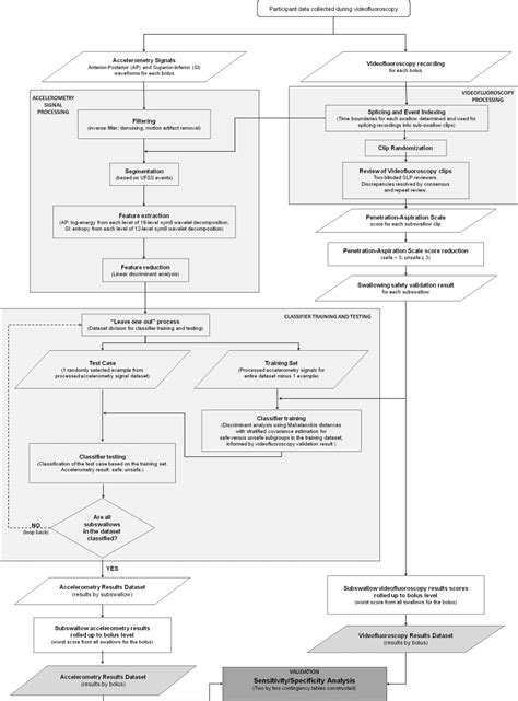 Flowchart Showing The Signal Processing Steps Used To Analyze The