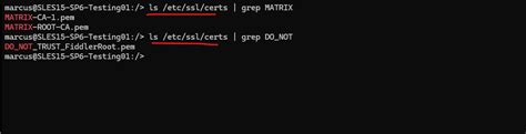 how to install root certificates on linux