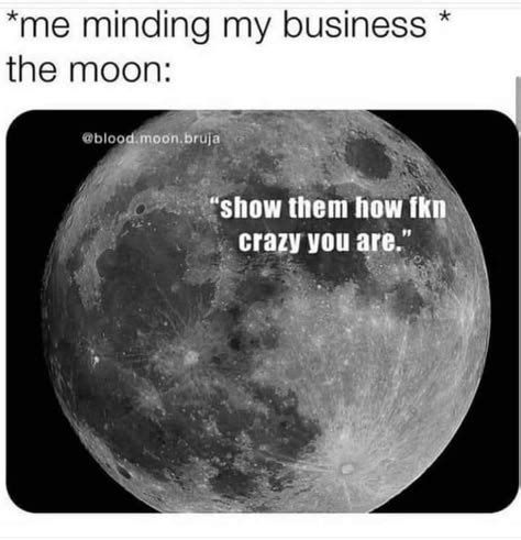 Full Moon Meme Funny