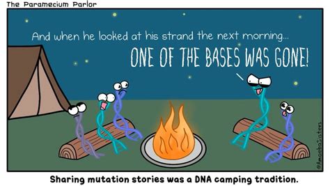 Bases Dna Mutation Cartoon Picture Biology Science Funny Camp Stories