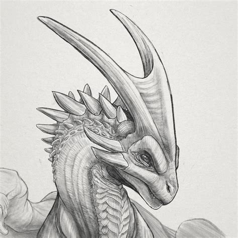 Dragon Horns Drawing Reference At Jerald Hunt Blog