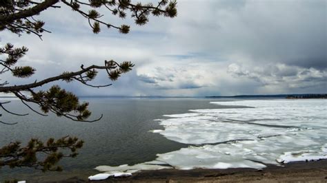 Ice Melting Time Lapse Stock Footage Royalty Free Video Clips