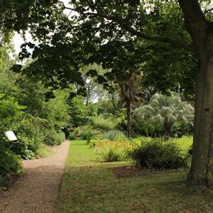 See Tickets Tree Identification Course Tickets And Dates