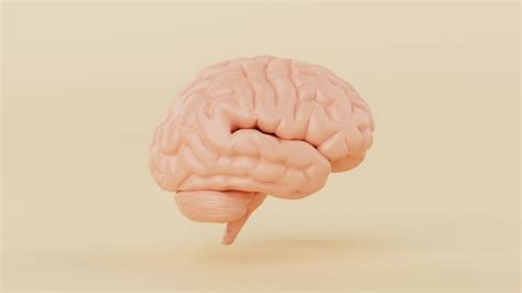 Dnastack Launches Neuroscience Ai To Accelerate Collaborative Research And Discovery Dnastack