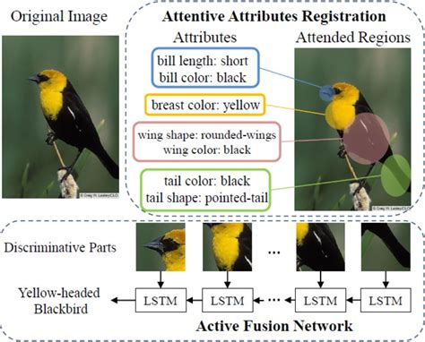 Fine Grained Car Detection For Visual Census Estimation At Terry Greene Blog