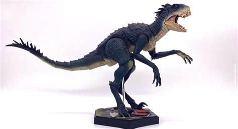 Helloi Am Trying To Buy A Scorpius Rex Adultsubadult Preferably