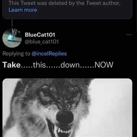 Know The Difference Between Plimpus And Gakster R Rodentintercourse