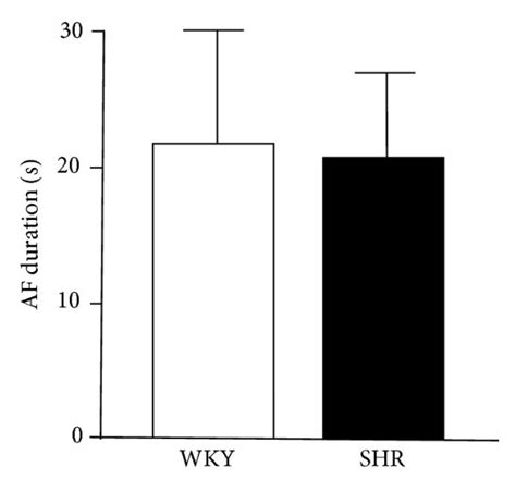 A Relationship Between The Duration Of Atrial Fibrillation Af With Download Scientific