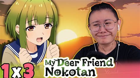 Bashame The Meme My Deer Friend Nokotan Ep 3 Reaction Youtube