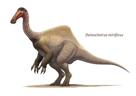 Deinocheirus By Y Forest On Deviantart