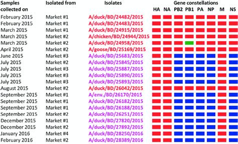 Gene Constellations Of Highly Pathogenic Avian Influenza Hpai H5n1 Download Scientific