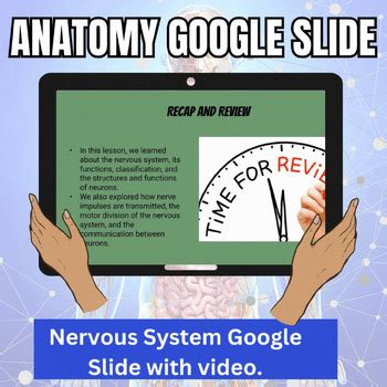 Nervous System Google Slides Lecture With Video Lesson By The Science Sista