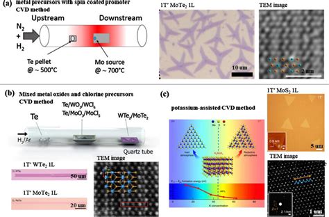 Various Cvd Methods For Monolayer 1t′ Mx2 A Single Layer Mote2