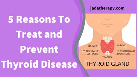 5 Reasons To Treat And Prevent Thyroid Disease Jada Therapy
