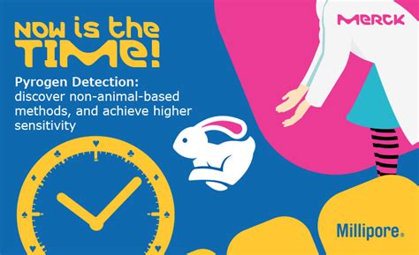 Testing For Endotoxins Dont Underestimate The Risk O