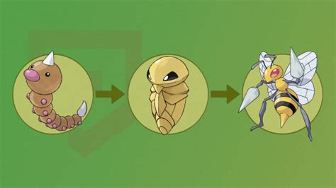 Weedle Pokémon Guide