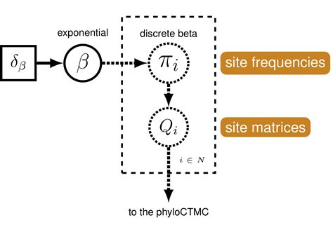 Discrete Morphology Models And Tree Inference • Systematicsclass