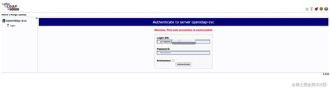 Kubernetes环境下部署open Ldap和go Admin Ldap Openldap部署 准备配置 定义配置文 掘金