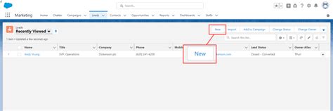 salesforce leads [complete tutorial]