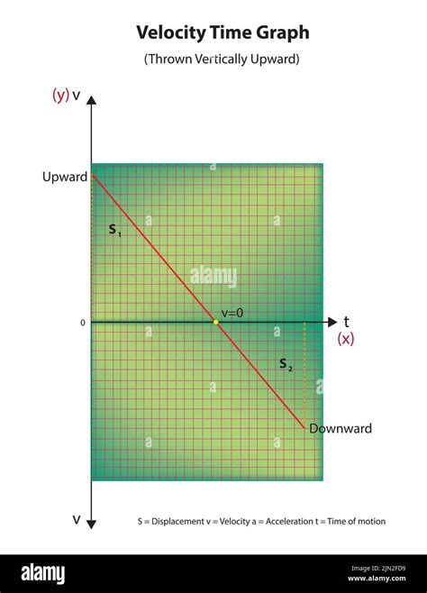 Velocity Time Graph Thrown Vertically Upward Stock Vector Image And Art Alamy