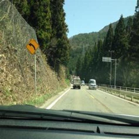 Mlproject Object Detection Model By K Bhanu Sree Keerthi