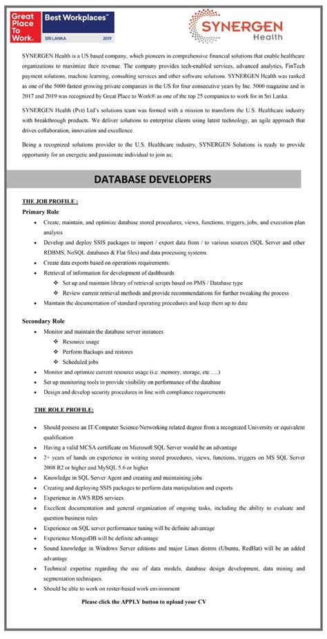 database developer