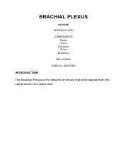 Understanding The Brachial Plexus Components And Clinical Course Hero