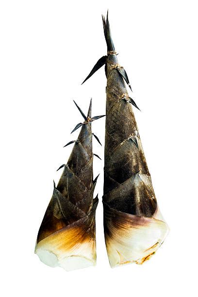 460 Asper Fotografías De Stock Fotos E Imágenes Libres De Derechos