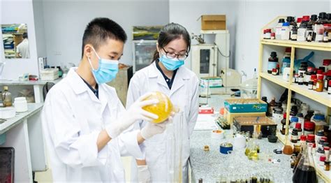 Driving Transformative Research