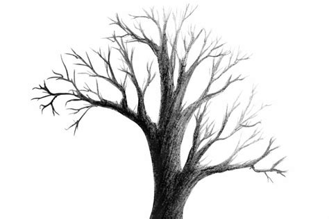 Simple Learn How To Sketch Draw Trees Urbaki Art