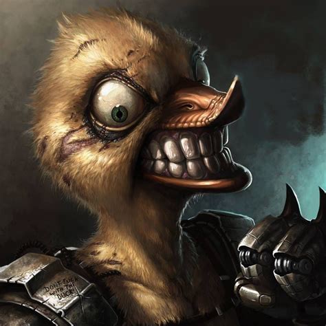 duck medium
